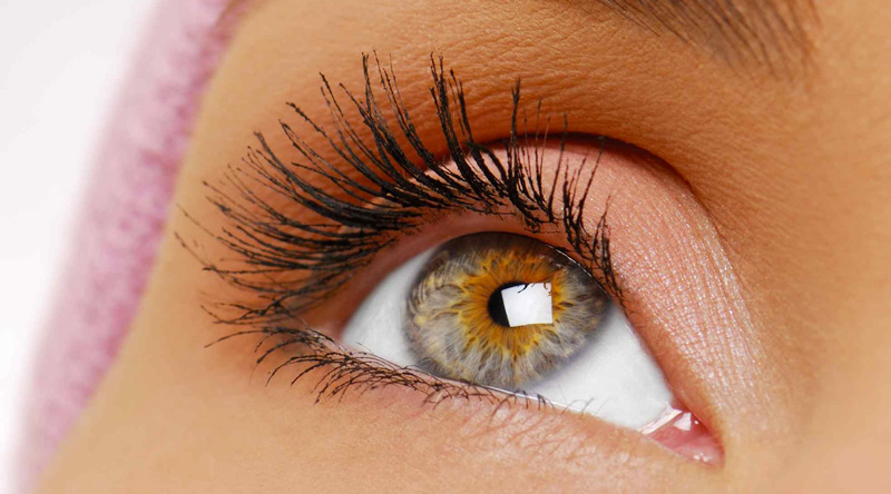 Eyelash Length and Volume - Home